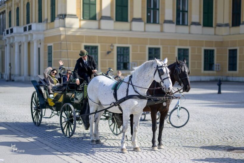 Vienna: Carriage Ride Through Schönbrunn Palace Gardens - An Elegant Way to Explore Schönbrunn Gardens