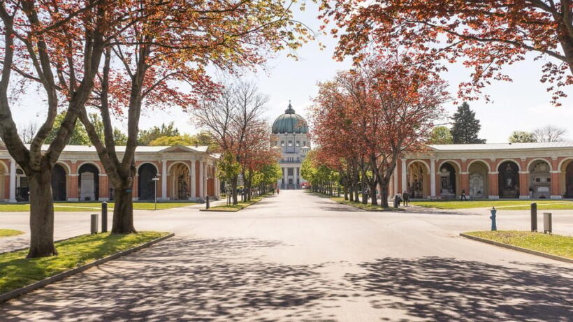 Vienna: Central Cemetery, guided walking tour with fascinating secrets - An In-Depth Look at the Vienna Central Cemetery Tour