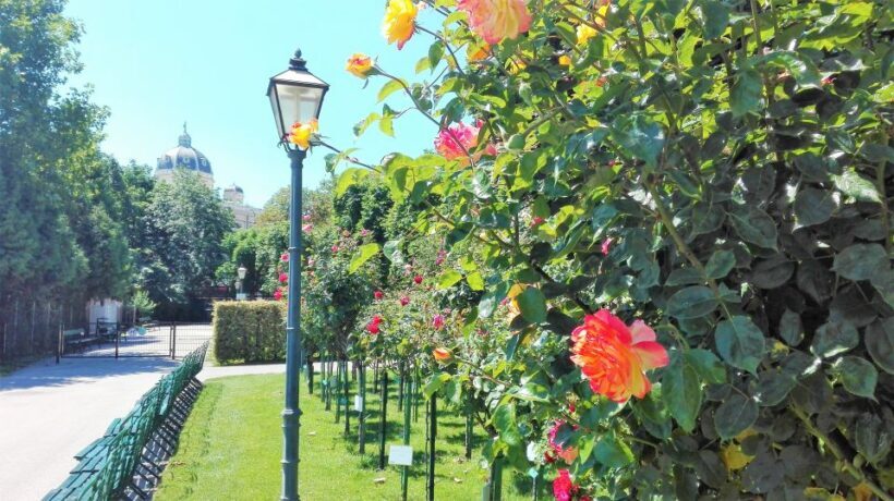 Vienna: City Highlights Guided Walking Tour & Old Town - What to Expect from the Vienna Old Town Tour