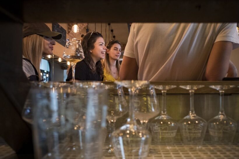 Vienna: Craft Beer Tasting Experience with Local Snacks - Exploring the Details of the Tour