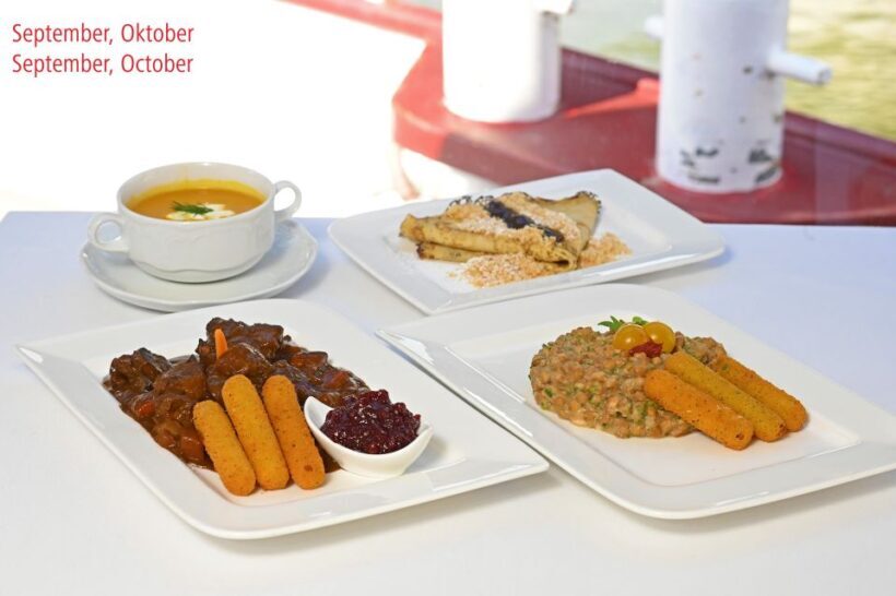 Vienna: Danube River Cruise w/ optional Viennese Specialties - Final Thoughts: Who Should Consider This Cruise?