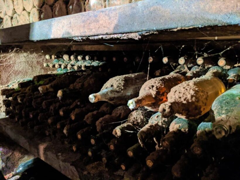 Vienna: Full-Day Vienna Woods Wine Tasting Tour - Who Will Love This Tour?