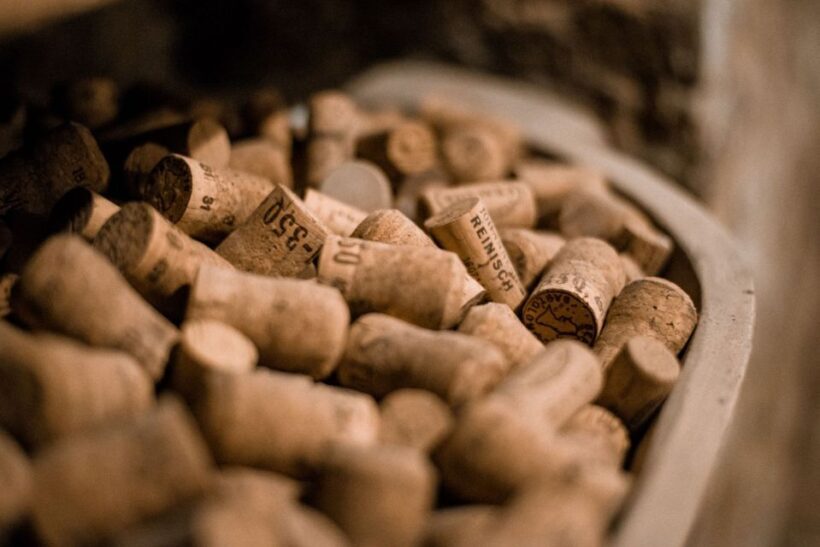 Vienna: Hidden Wine Cellars Tasting Experience - Authenticity & Value for Travelers
