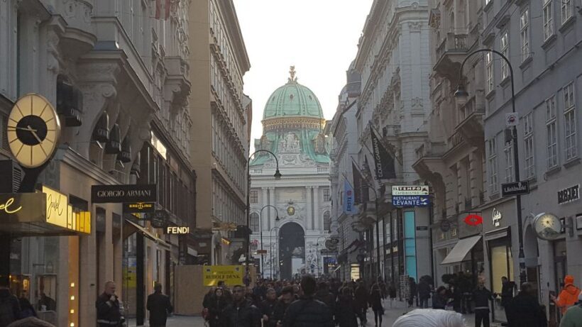 Vienna Historical Highlight City Tour + Hofburg - What to Expect From the Vienna City Tour