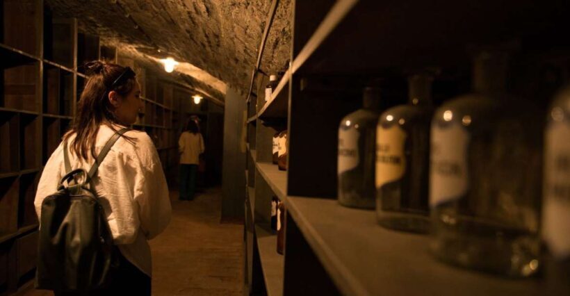 Vienna: Historical Pharmacy Cellar Guided Tour - Vienna: Historical Pharmacy Cellar Guided Tour — A Hidden World Beneath the City