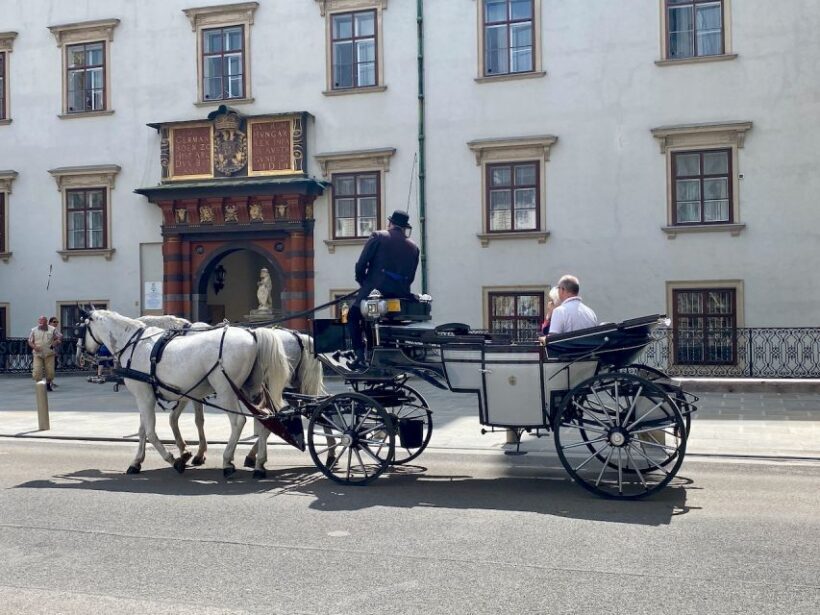 Vienna: Hofburg Palace and Principessa Sissi Tour - The Convenience and Value of Skip-the-Line Access