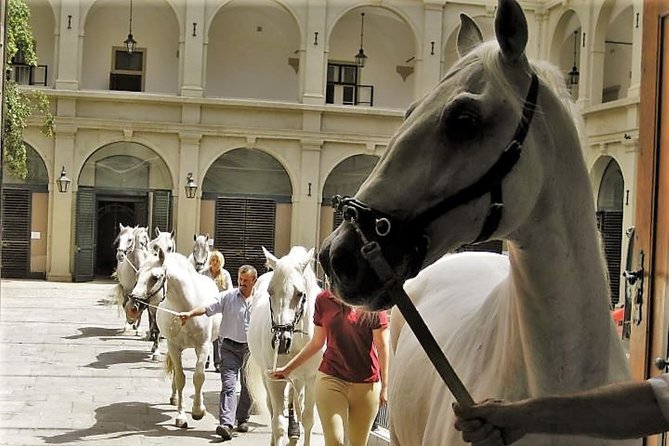 Vienna Inner City Highlights Private Walking Tour - Insider Perspectives on Vienna