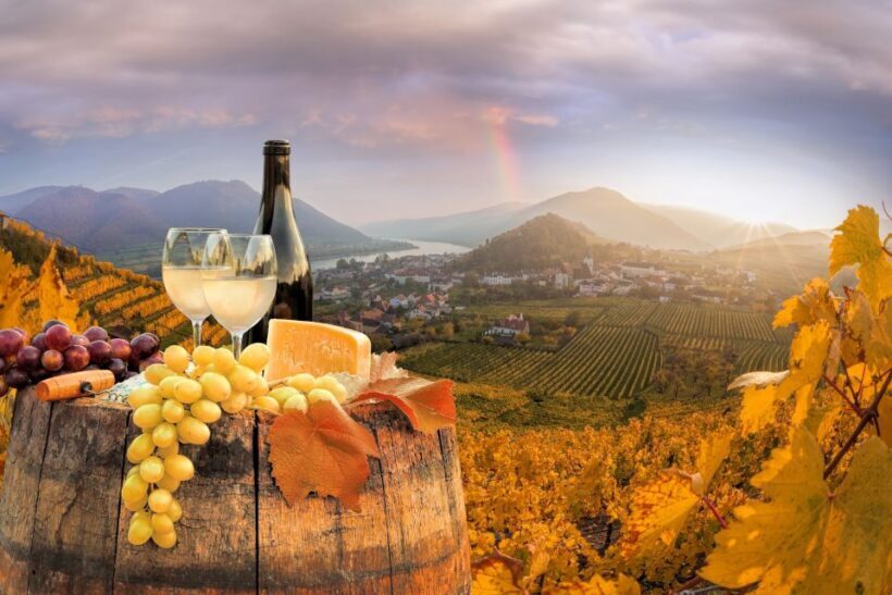 Vienna: Melk, Wachau Wine, Lower Austria Day Trip by Car - Practical Details and Tips
