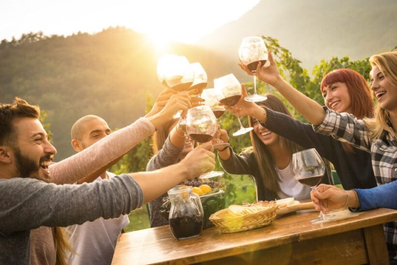 Vienna: Melk, Wachau Wine, Lower Austria Day Trip by Car - Who Should Consider This Tour?