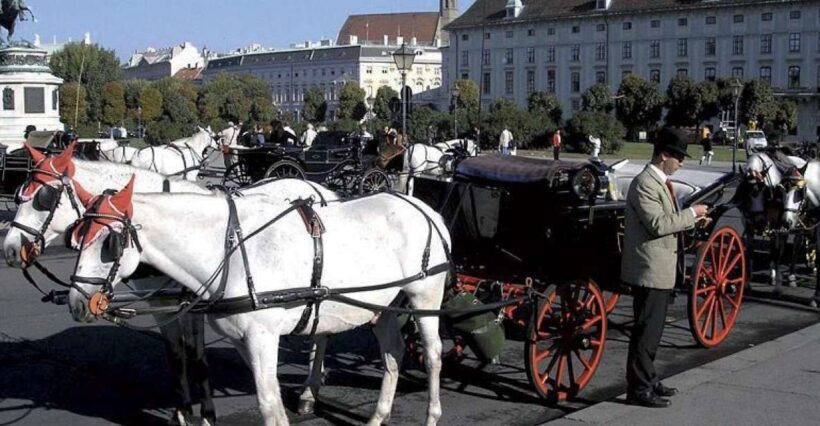 Vienna: Mozart Concert with Dinner and Carriage Ride - Key Points