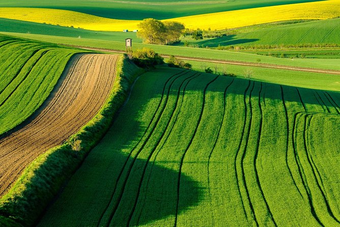 Vienna-Prague One-Way Sightseeing Tour Bus - Why Choose This Tour?