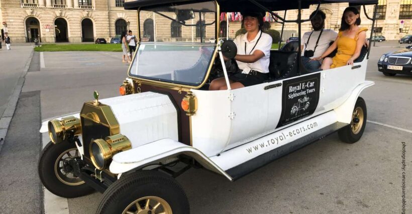 Vienna: Private Electric Car Sightseeing Tour - The Basics of the Vienna Electric Car Tour