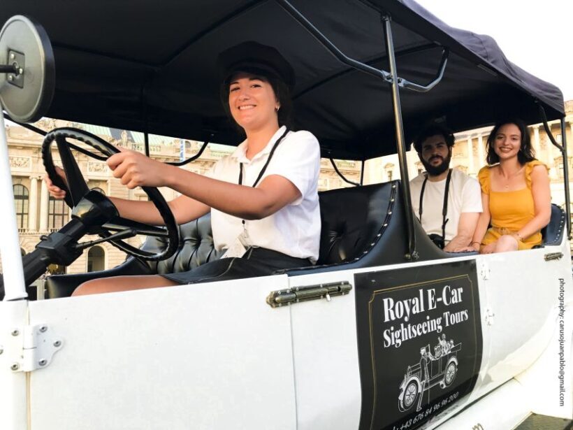 Vienna: Private Electric Car Sightseeing Tour - What Are the Tour Highlights?