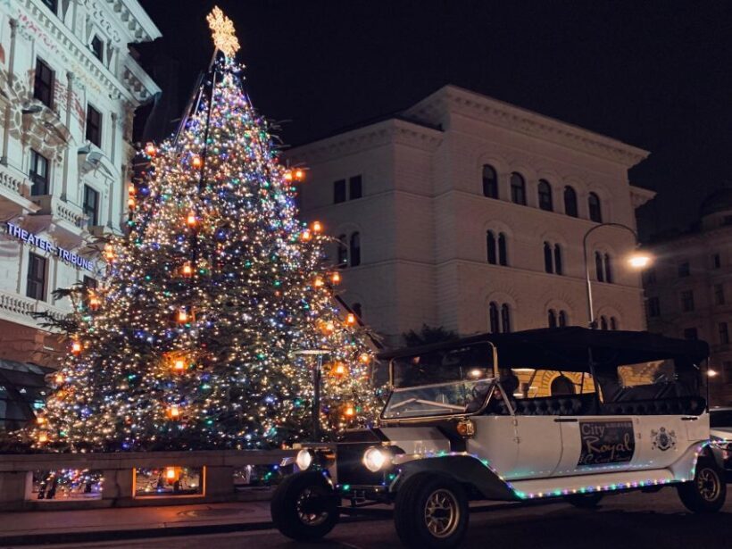 Vienna: Private Electric Car Sightseeing Tour - Who Will Love This Tour?