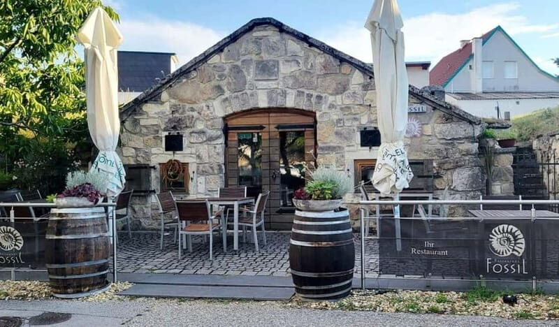 Vienna: Private tour Lake Neusiedl, Rust (wine tasting) Purbach - The Experience in Detail