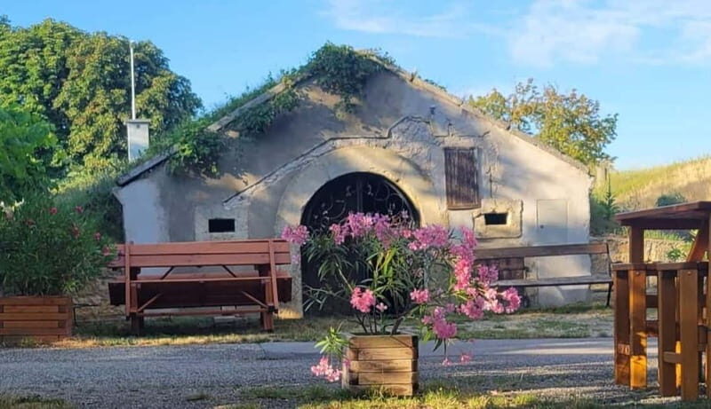 Vienna: Private tour Lake Neusiedl, Rust (wine tasting) Purbach - Who Should Consider This Tour?