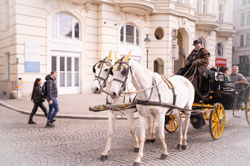 Vienna: Romanian Heritage and Christmas Markets Guided Tour - An In-Depth Look at the Experience