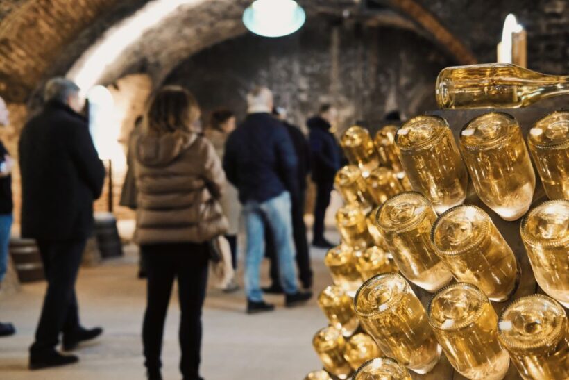 Vienna: Schlumberger Wine Cellar Guided or Self-Guided Tour - Who Should Consider This Tour?