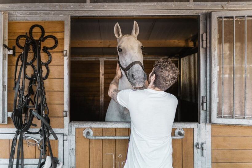 Vienna: Secrets of the Fiaker & Horse-Drawn Carriage Ride - Key Points