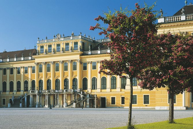Vienna: Skip the Line Schönbrunn Palace and Gardens Guided Tour - The Value of a Guided Tour