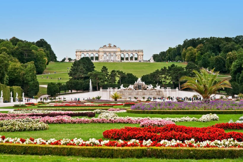 Vienna: Skip-the-Line Schönbrunn Palace and Gardens Tour - The Itinerary: What You’ll See and Experience