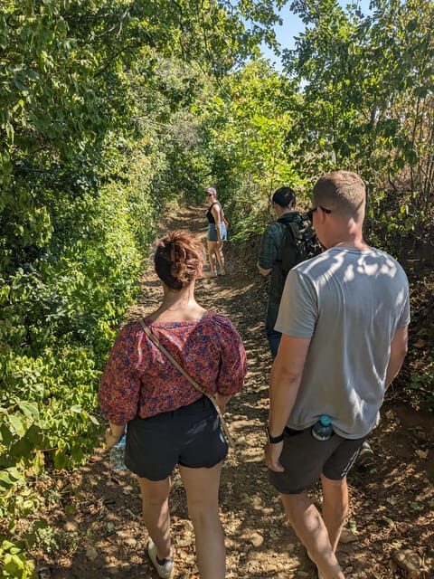 Vienna: Small-Group Wine Tasting Tour - Key Points