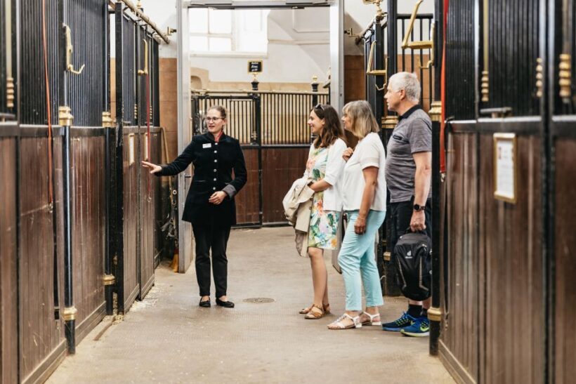 Vienna Spanish Riding School Guided Tour - A Closer Look at the Tour Experience