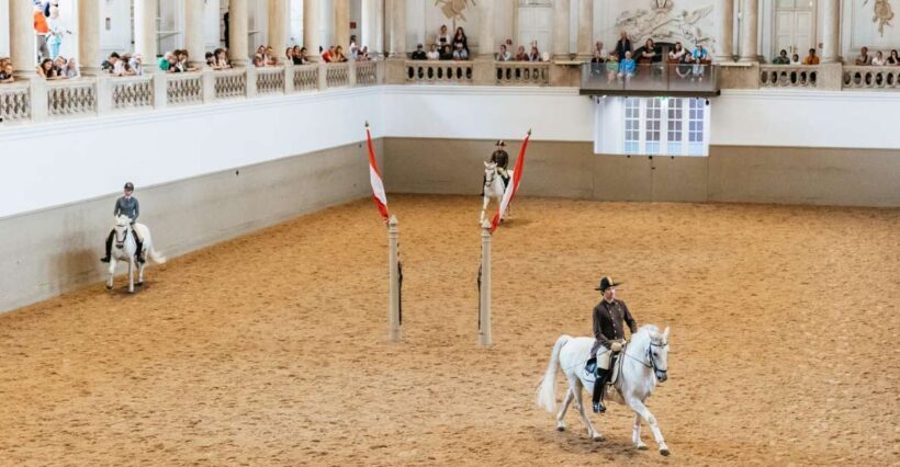 Vienna: Spanish Riding School Training - The Setting: The Baroque Winter Riding Academy