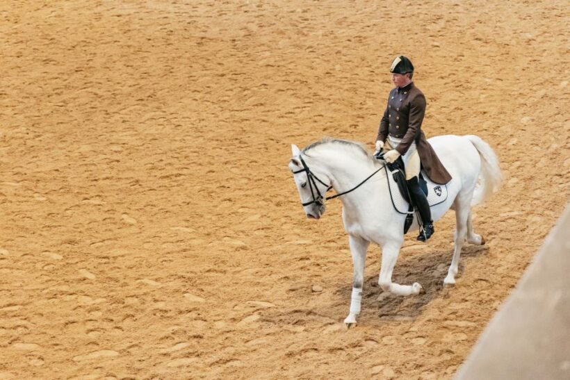 Vienna: Spanish Riding School Training - Price and Value Analysis