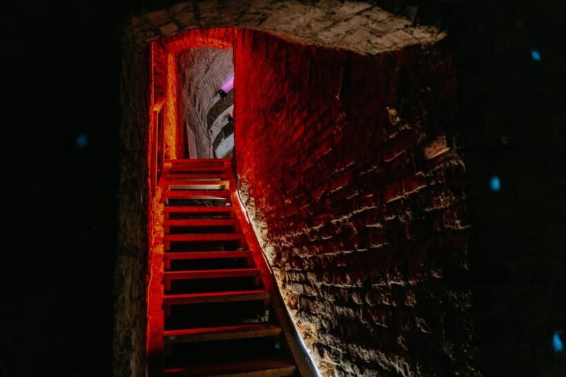 Vienna: Viennese Underworld Guided Walking Tour - Guide and Tour Quality