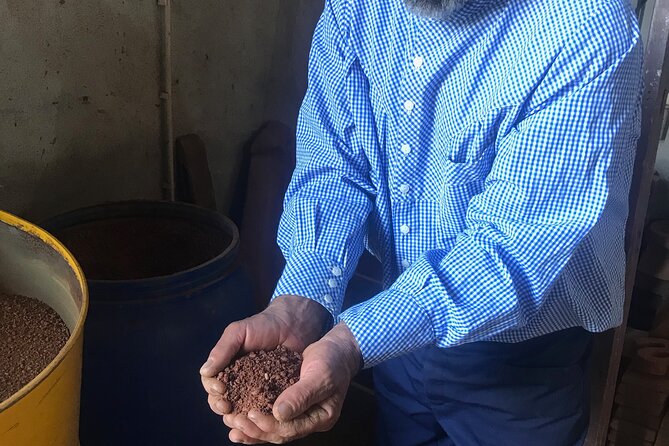 Vienna Wine Experience - Vienna Wine Experience: An In-Depth Review