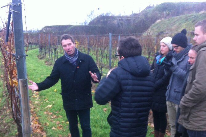 Vienna Wine Experience - A Closer Look at the Itinerary