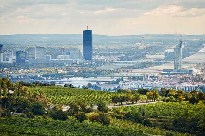 Vienna Wine Experience - Frequently Asked Questions