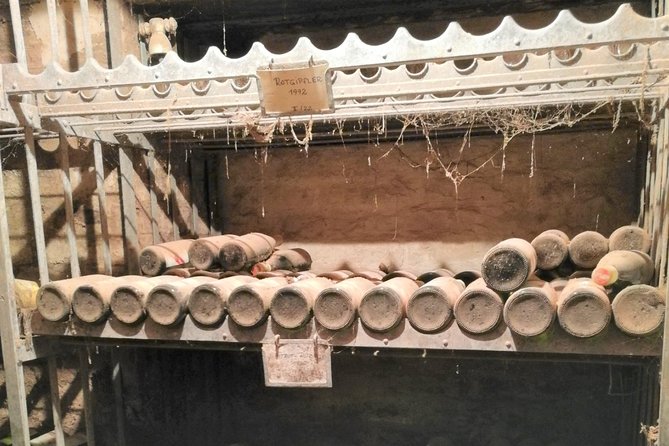 Vienna Woods Wine Tour - Wines, Vines & Good Times! - Meet Your Knowledgeable Guides