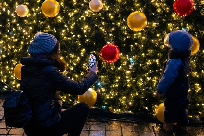 Vienna's Christmas Market Magic Tour - Key Points