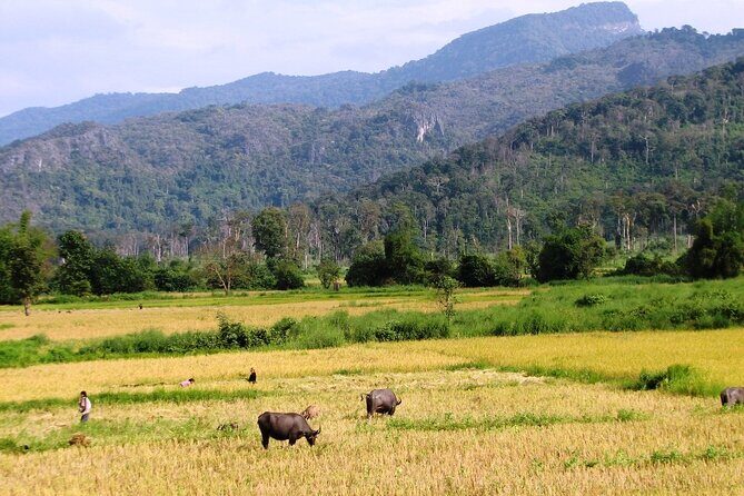 Vientiane Day Trip By Bike To Tad Moon Waterfall - What Makes This Tour Stand Out?
