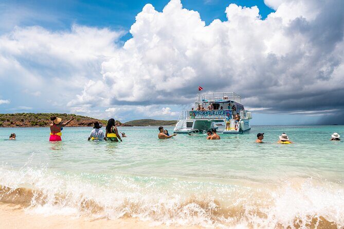Vieques: Beach and Snorkeling Tour by Catamaran from Fajardo - Key Points