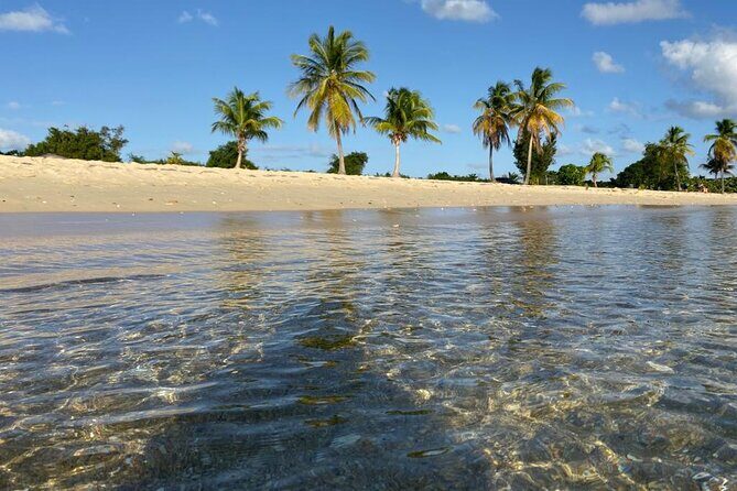 Vieques Bio Bay Tour and Beach Day Trip from San Juan by Ferry - An In-Depth Look at the Tour Itinerary