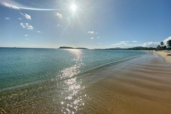 Vieques Bio Bay Tour and Beach Day Trip from San Juan by Ferry - Final Thoughts: Who Should Consider This Tour?