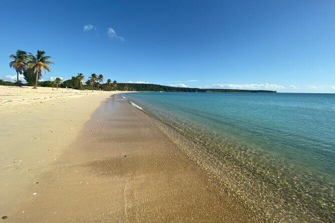 Vieques Bio Bay Tour and Beach Day Trip from San Juan by Ferry - Frequently Asked Questions