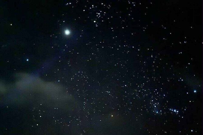 Vieques island Biobay Kayaking Tour - The Booking and Planning Process