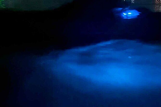 Vieques island Biobay Kayaking Tour - The Value Proposition