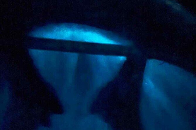 Vieques island Biobay Kayaking Tour - Practical Tips for Travelers