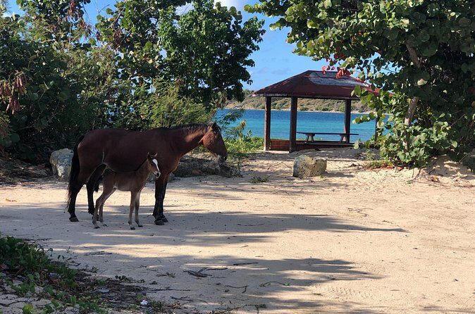 Vieques Island Rich History Tour - Practical Details That Matter