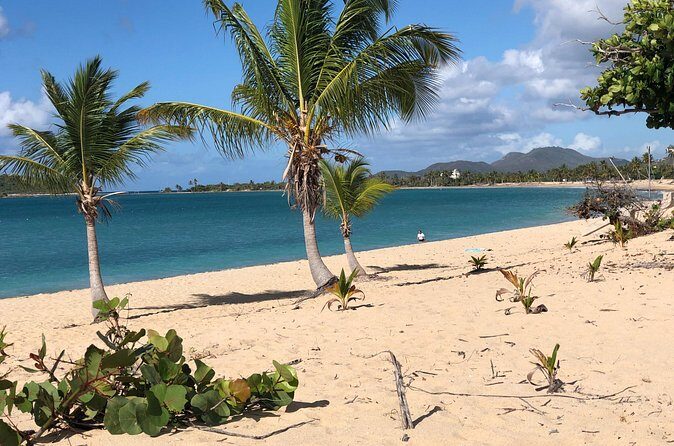 Vieques Island Rich History Tour - Who Is This Tour Best For?