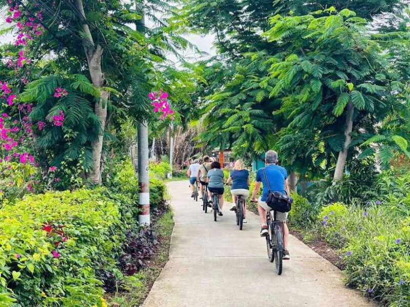 Vietnam in 17 Days: An Itinerary of Beauty and Rich Culture - The Sum Up