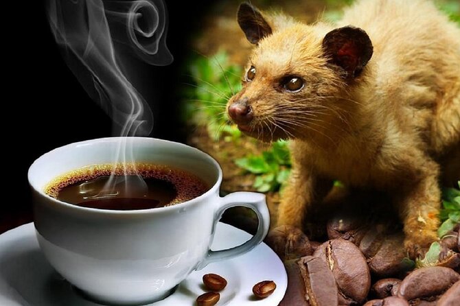 Vietnamese Culture and Coffee Making Class - The Value: Is It Worth It?