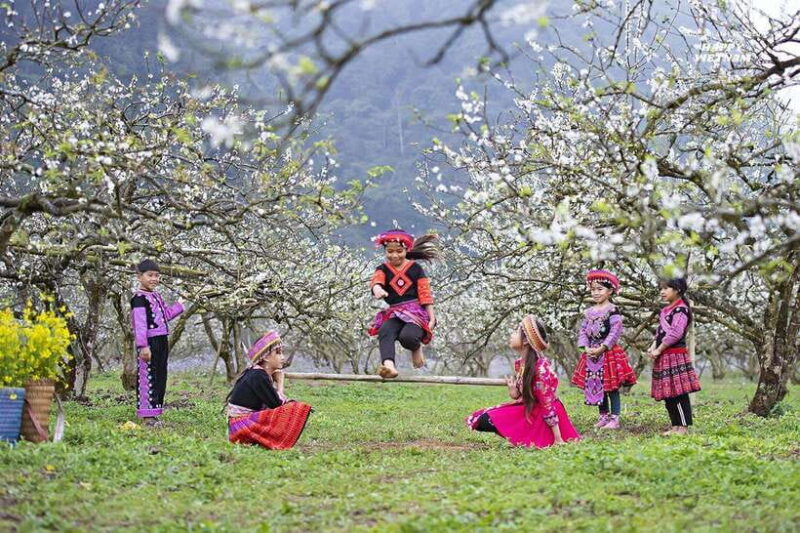 Vietnams Highlights in 15 Days: North to South by Air - Who Will Enjoy This Tour?