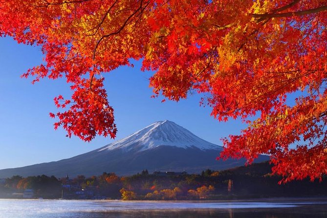 View of Mt. Fuji Is Good! Sushi Making Experience Class - Step-by-Step Guide to Sushi Preparation