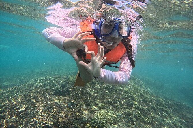 Viewpoints and Snorkeling EN Playa La Entrega - How the Experience Stacks Up: What Travelers Say